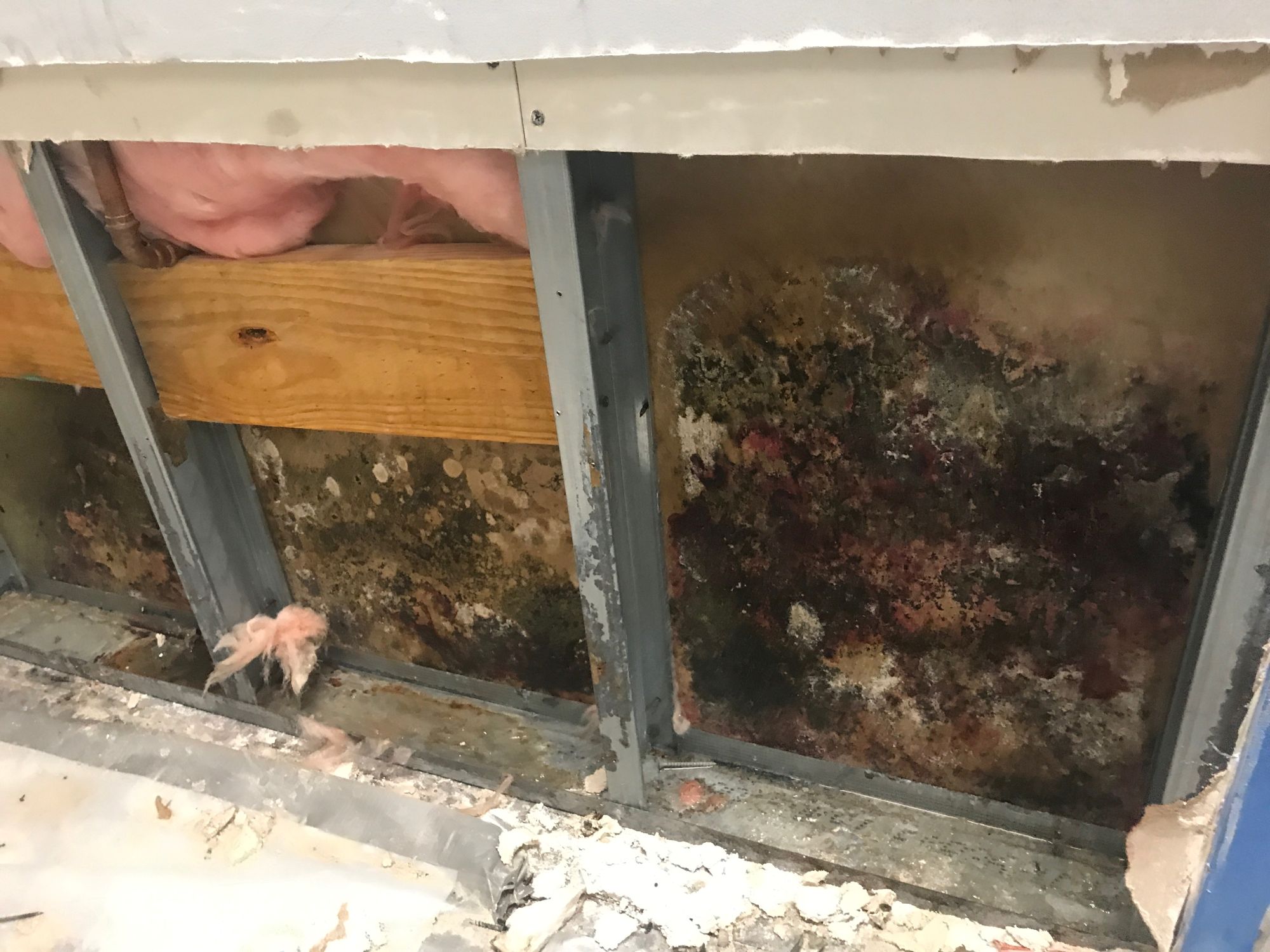 Environmental Restorations, Inc.: Blog
